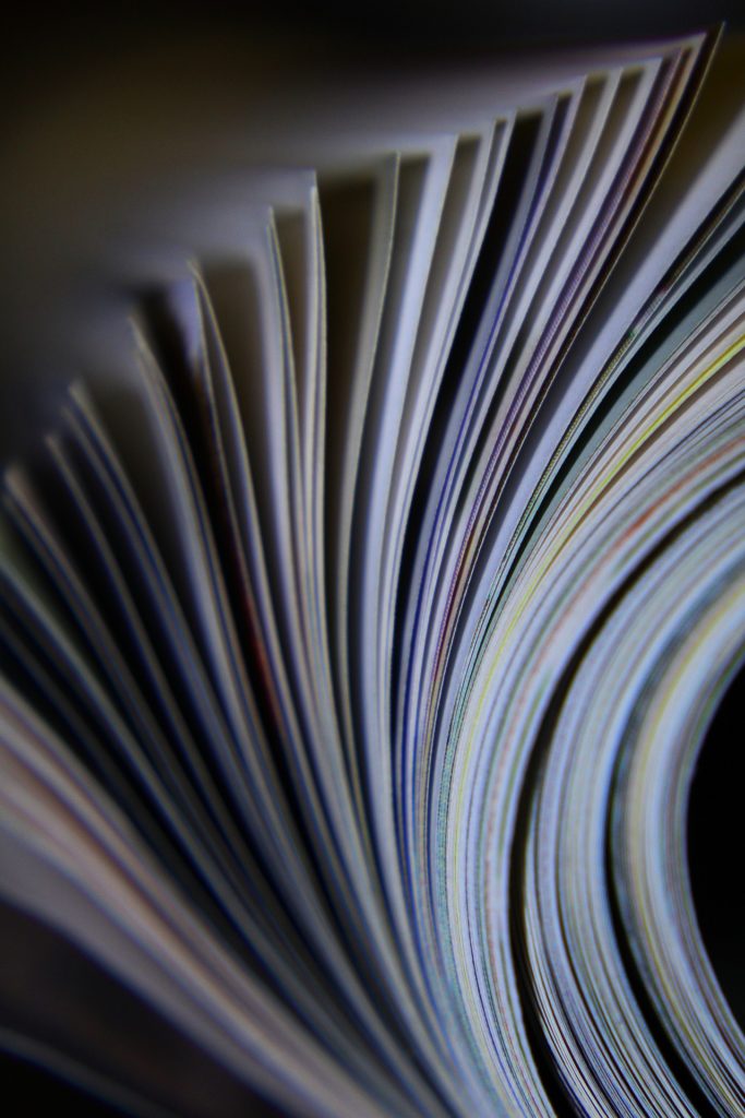 Corporate Share Structure: Types of Shares & Their Importance - SM LEGAL